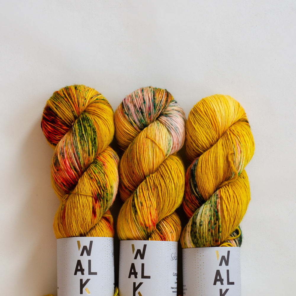 hand-dyed yarns • ready-to-ship – Walk Collection